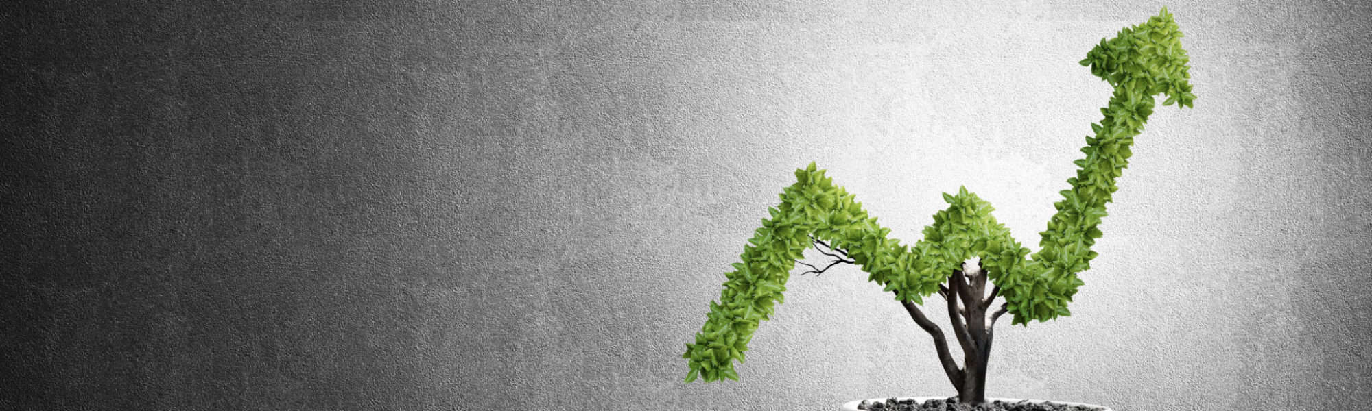 The History of V-Label - V-Label